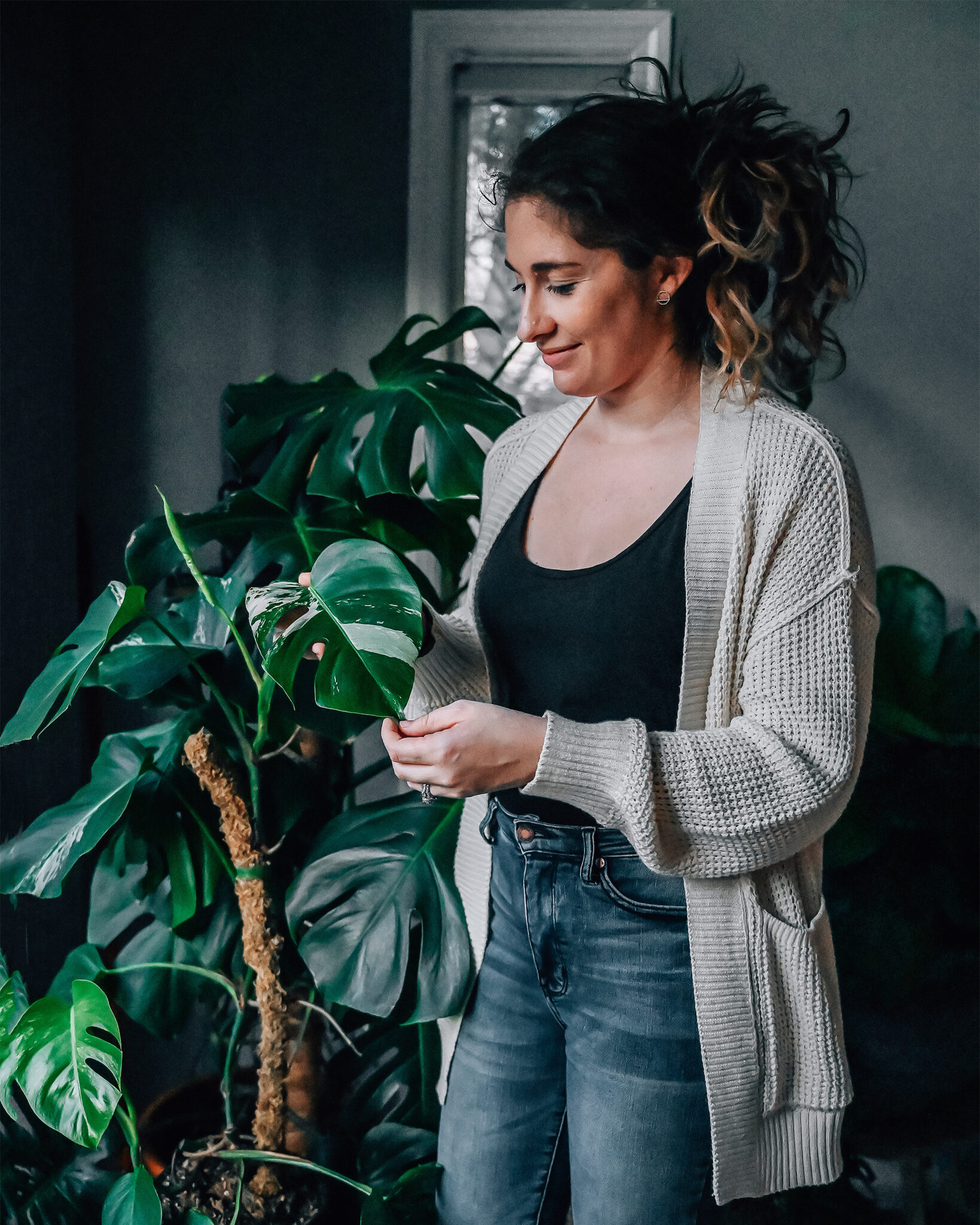 A Beginner’s Guide to Propagating a Monstera Albo in Water - Tandra Nicole